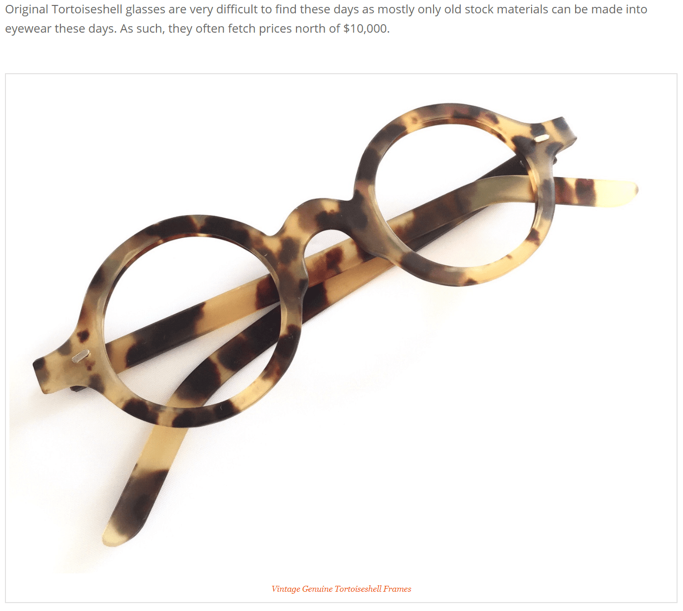 Sustainable Fashion & Wildlife - Part 2 of Style Icon Afternoon Tea ...