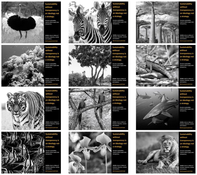 No Transparency – No Trade Campaign - Nature Needs More