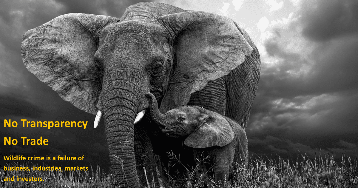 No Transparency – No Trade Campaign - Nature Needs More