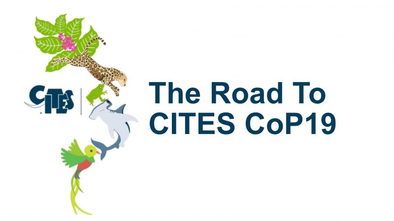 The Road To CITES CoP19 - Nature Needs More
