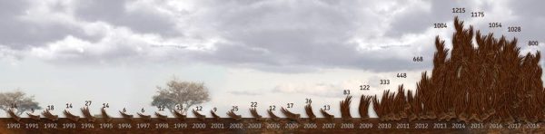 The Facts About Rhino Horn Demand Reduction Campaigns - Nature Needs More