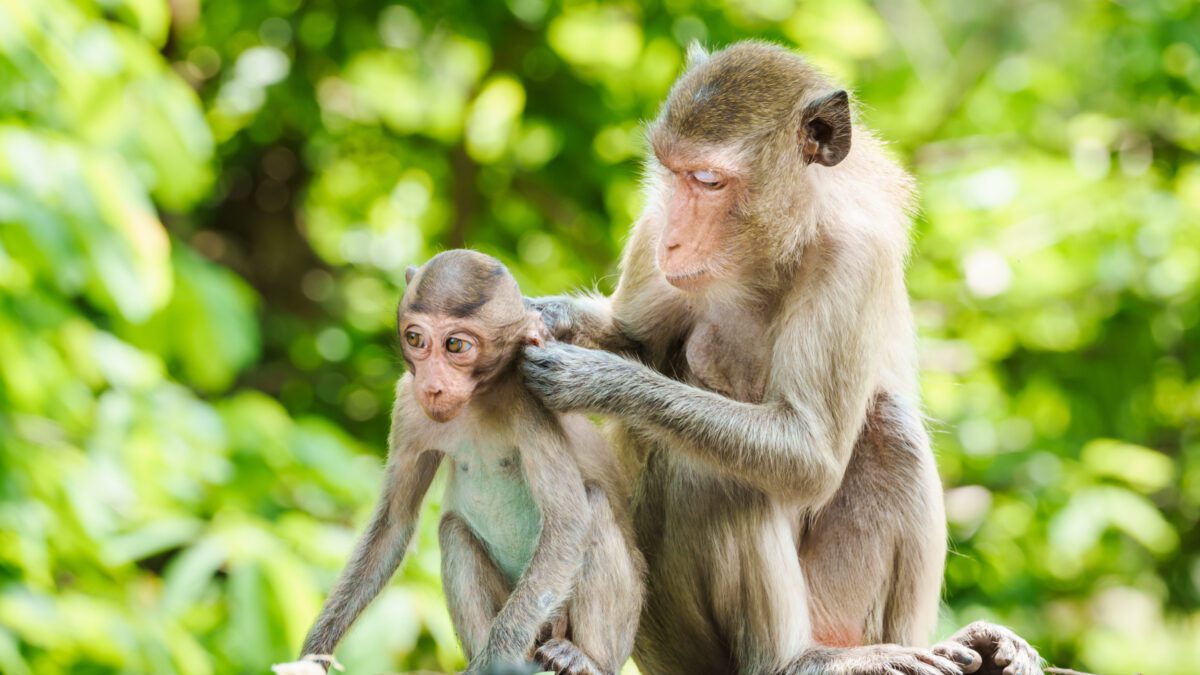 The Long Read: The Traders, The Traffickers And The Torturers - Nature ...