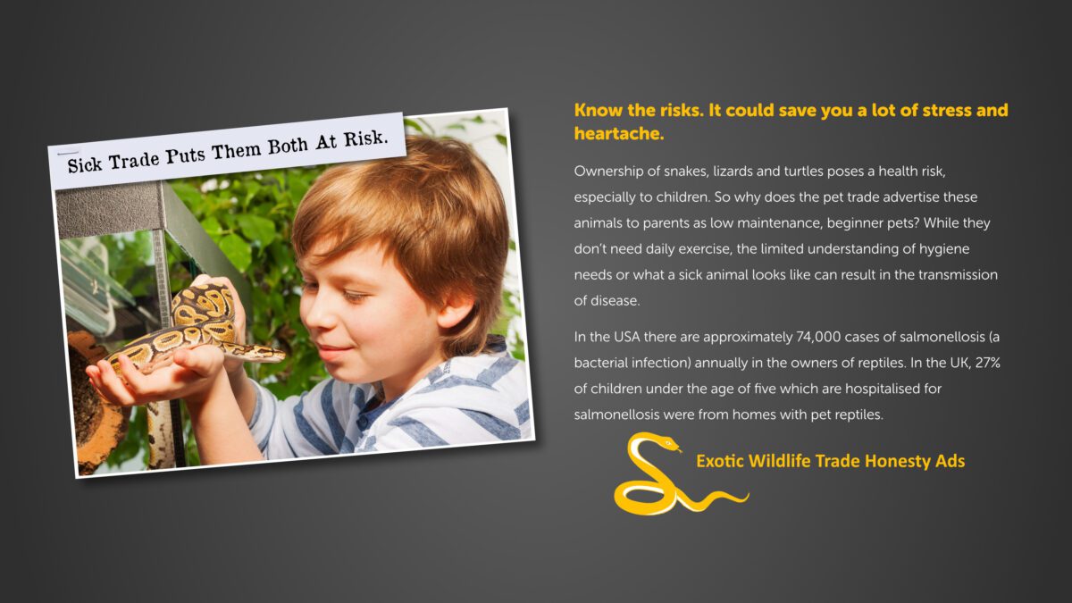 The Future Of The Exotic Pet Trade - Nature Needs More