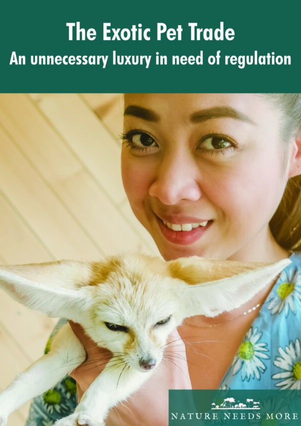 The Future Of The Exotic Pet Trade - Nature Needs More